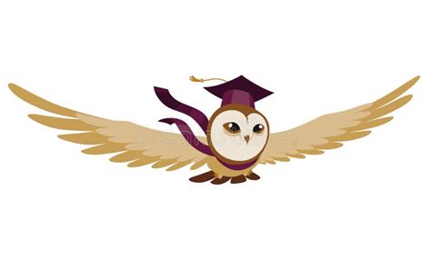 Owl Wearing Graduation Cap Cute Wise Owl With Hat Stock Illustration