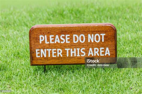 항목 나무 흔적 녹색 잔디와 배경 개인 및 닫힌 영역 개념에에서 흐린된 자연 필드에 배치 됩니다 경계 표지에 대한 스톡 사진 및