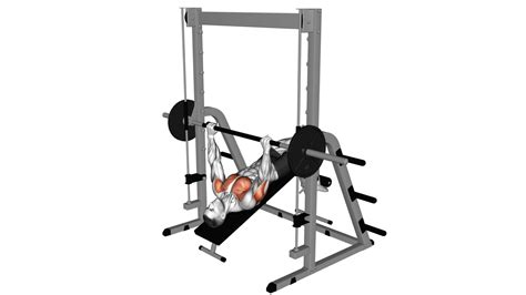 Chest Workout With Functional Trainer At Lois Lumpkin Blog