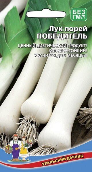 Лук порей Победитель