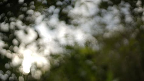 Green Abstract Background With Neat Rounds Stock Image Image Of