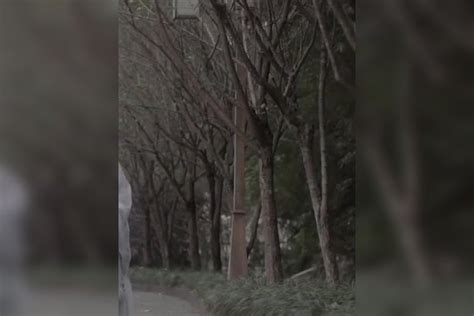 这个夏天错过了也相遇了，不知道下次遇见是不是秋天。