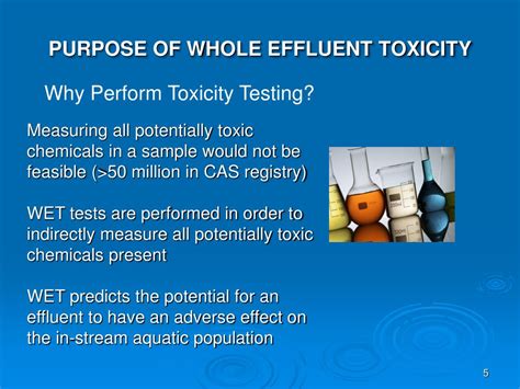 Ppt Basics Of Toxicity Testing With Ceriodaphnia Dubia Powerpoint