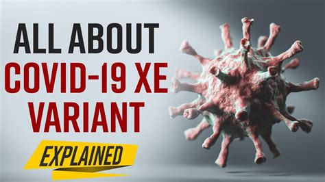 Explained What Is Xe Variant Of Coronavirus Should India Worry