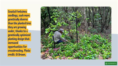 What Are The Techniques In Genetic Diversity Conservation Sigma Earth
