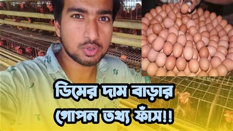 ডিমের দাম বাড়ার গোপন তথ্য ফাঁস।। লেয়ার মুরগীর ডিম।। Bd Poultry Farm