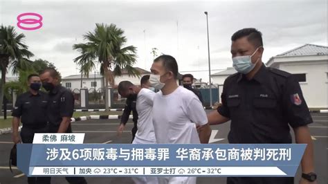 高庭推翻长虎获释判决 父母承认虐女罚14万【20220601 八度空间华语新闻】 Youtube