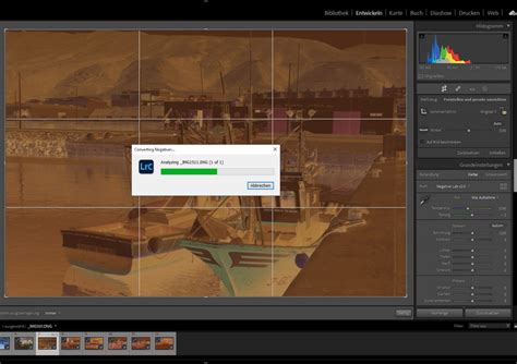 Negative Lab Pro Plugin Für Adobe Lightroom Review Test