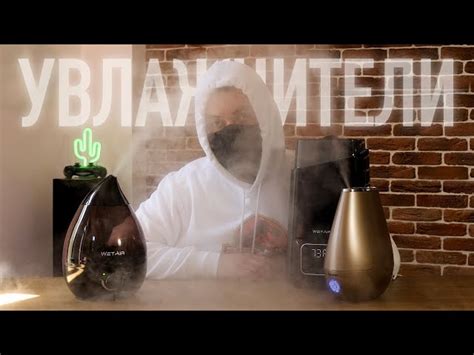 Увлажнитель воздуха для квартиры - какой выбрать недорогой и ...