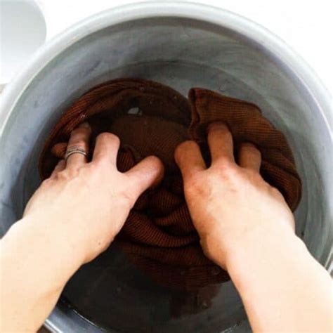 How To Get Mold Out Of Clothes Our Oily House