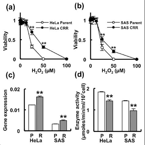 Crr Cells Were Resistant To H 2 O 2 But Did Not Show High Catalase