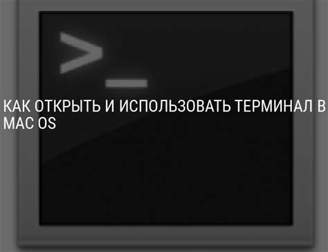 Терминал в Mac Os как открыть и использовать для ускорения работы