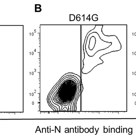 concomitant detection of the sars cov 2 surface spike and intracellular