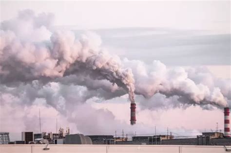 Pentru Prima Oară Participanții La Summitul Climatic Au Ajuns La Un