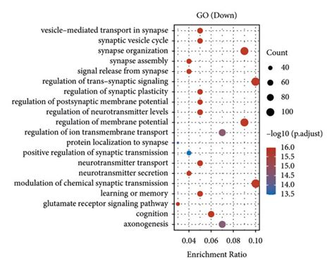 Analysis Of Differentially Expressed Genes Between Lncrnas Related
