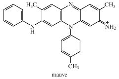 Heterocyclic Compound Five Membered Six Membered Heteroatoms