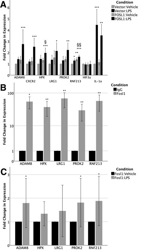 Fosl1 Is A Novel Mediator Of Endotoxinlipopolysaccharide Induced
