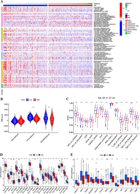 Association Between The Tumor Immune Landscape And Rrlncrna Signature