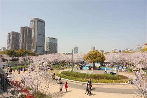 春日和とは？意味は？日和と小春日和の間違いやすい使い方に注意 まこっちパパの虹色生活情報便