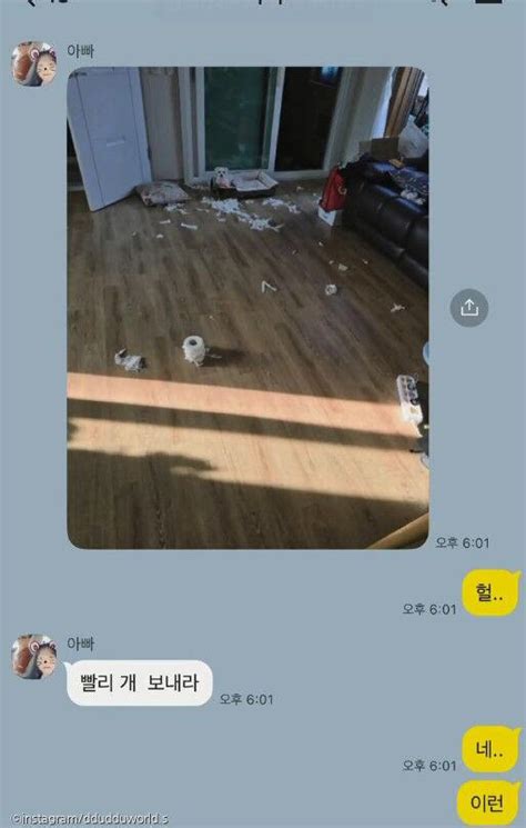 더 이상 못 참아 데려온 개 당장 내보내라던 아버지의 근황비염도 적응함