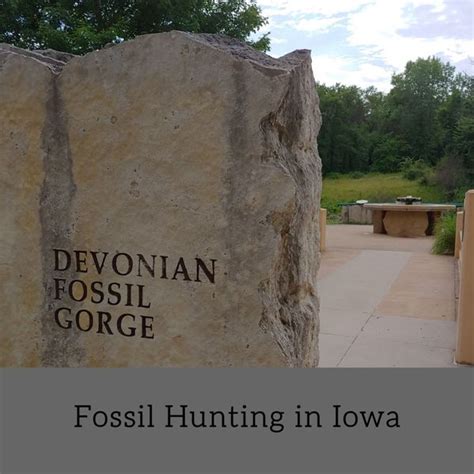 Devonian Fossil Gorge Sm Minivan Adventures
