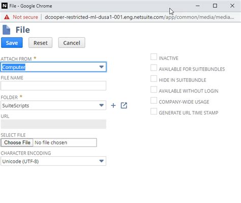Netsuite Applications Suite Creating A Script Record