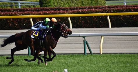 Dmmドリームクラブ21、22産の診断（3月募集馬＆ラセレシオン21編）｜rino（整体療術師）