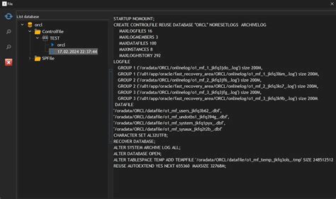 Oracle Startup File And Pfile Manager Cerebrosql