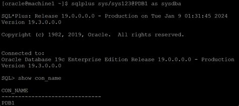 Create Oracle Cdb Using Dbca Silent Method