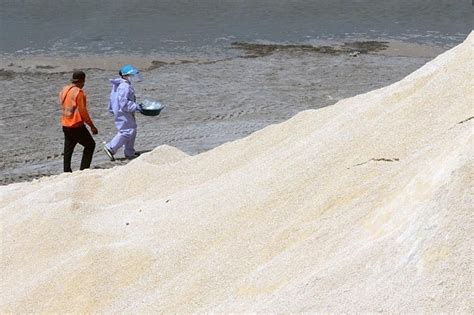On Dolomite Extraction Issue DENR Blames Cebu System The Freeman