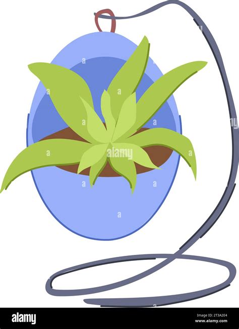 Home Hanging Planter Cartoon Vector Illustration Stock Vector Image