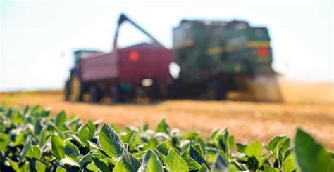 Agricultural Microplastics Environmental And Health Impacts Mostly Unknown