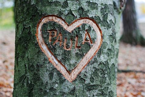 Origen Y Significado Del Nombre De Paula Eres Mamá