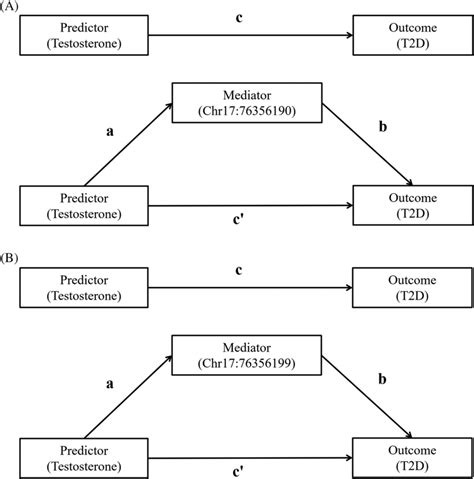 The Conceptual Mediation Model A Indicates The Path From