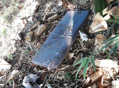 Padrasto Flagra Estupro De Criança De 3 Anos Em Canavial E é Esfaqueado