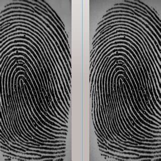 Initial Alignment Of Test Image Vs Corresponding Database Image Download Scientific Diagram