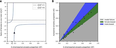 Challenges Of Accurately Estimating Sex Biased Admixture From X Chromosomal And Autosomal