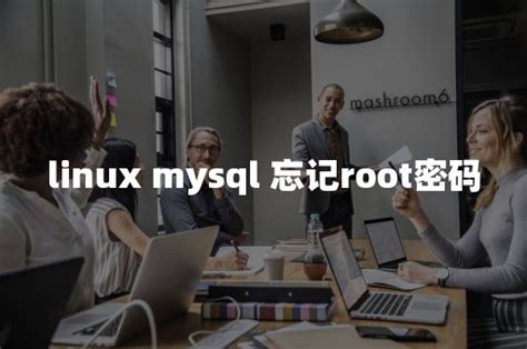 Linux Mysql 忘记root密码 Pingcap 平凯星辰