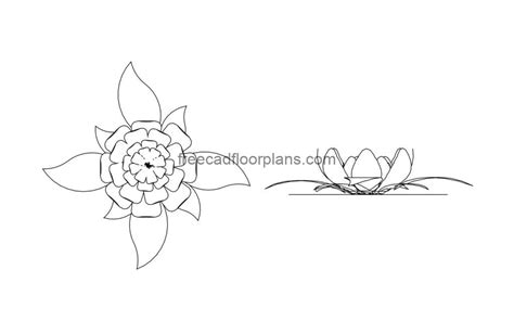 Lotus Flower Free CAD Drawings