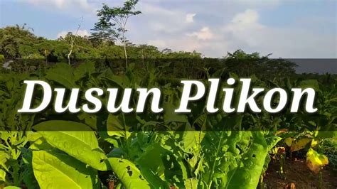 Profil Dusun Plikon YouTube