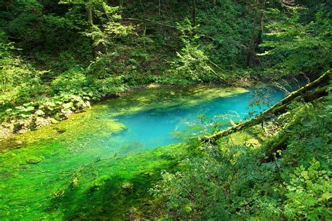 Kanjon Kamačnik Izlet U Prirodu Savršen Za Sve Uzraste Super1hr