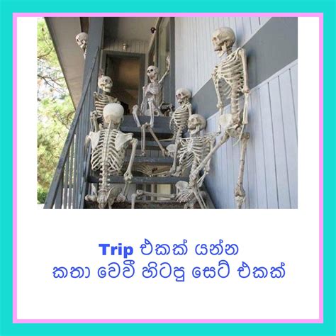 සූර වීර කෙල්ලෝ 😂😂 Mention කරන්න Facebook