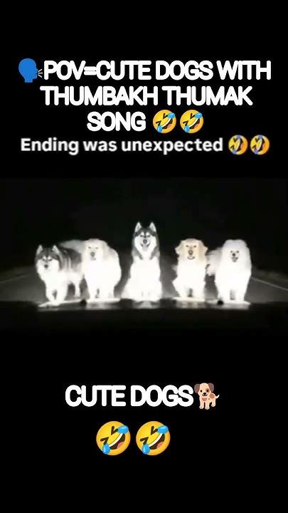 🗣️povcute Dogs With Thumbakh Song 🤣🤣 Youtube
