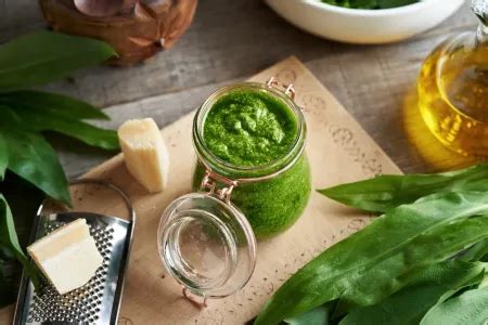 Recette Pesto maison à l ail des ours facile Mes recettes faciles