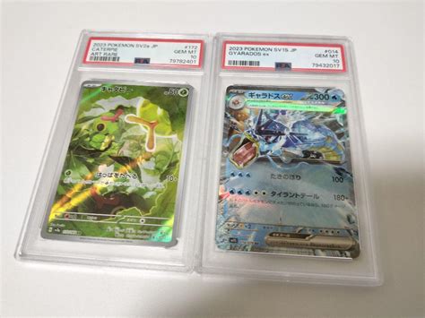 Psa10 2枚セット キャタピー Ar ギャラドスex Rr メルカリ