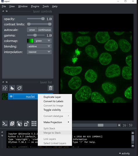 saving files in napari usage and issues image sc forum