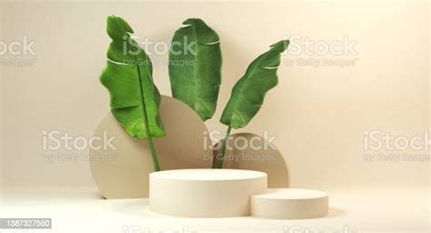 손바닥 잎 3d 렌더링과 연단베이지 배경에 최소한의 현대 제품 디스플레이 0명에 대한 스톡 사진 및 기타 이미지 0명 강단 공란 Istock