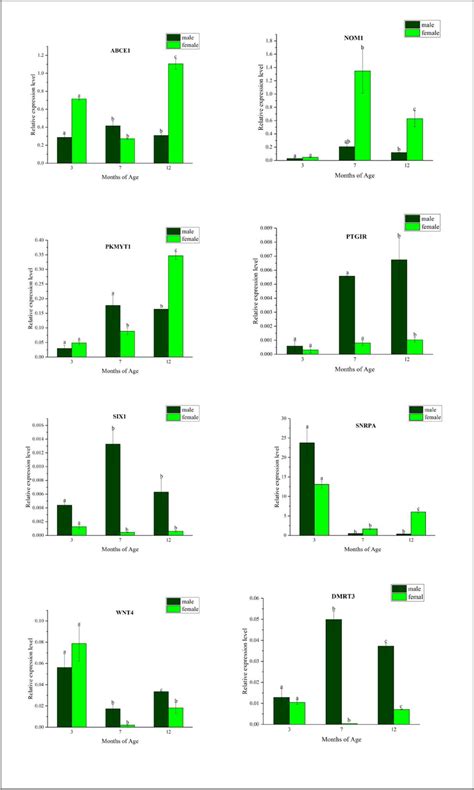 Expression Patterns Of Ten Sex Determination Genes In Male And Female