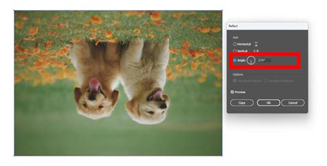 How To Flip An Image In Adobe Illustrator Adobe Tutorial