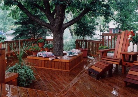 Deck Built Around A Tree Deck Around Trees Decks Backyard Bench